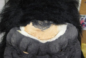 GORILLA_TUTORIAL | CHRIS WALAS CREATURES