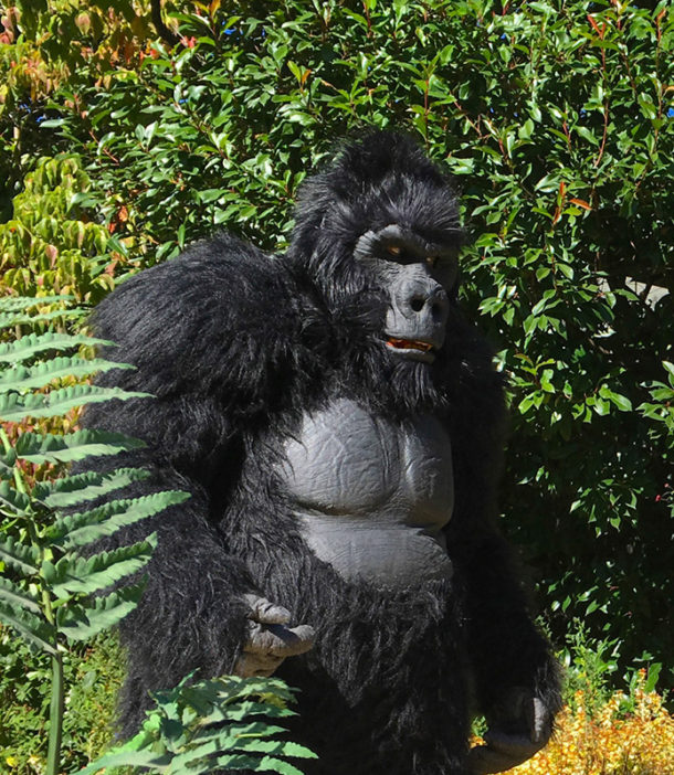 gorilla_mask | CHRIS WALAS CREATURES